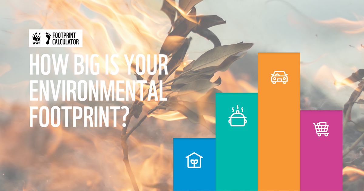 The Growth Company | Carbon Literacy Pledge - Elizabeth